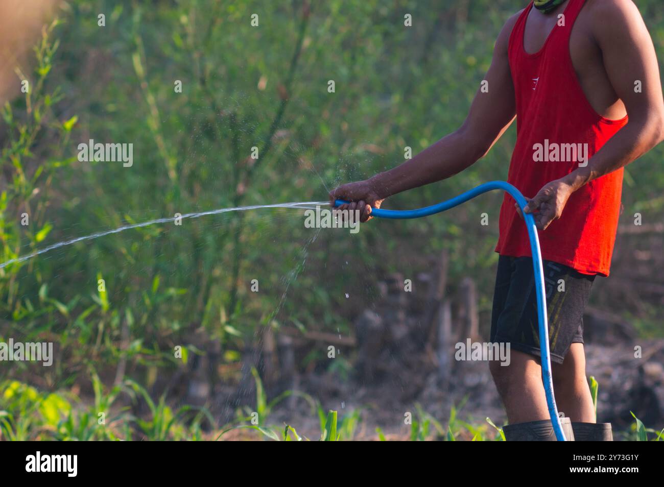 Earth on small tree watering hi-res stock photography and images - Alamy