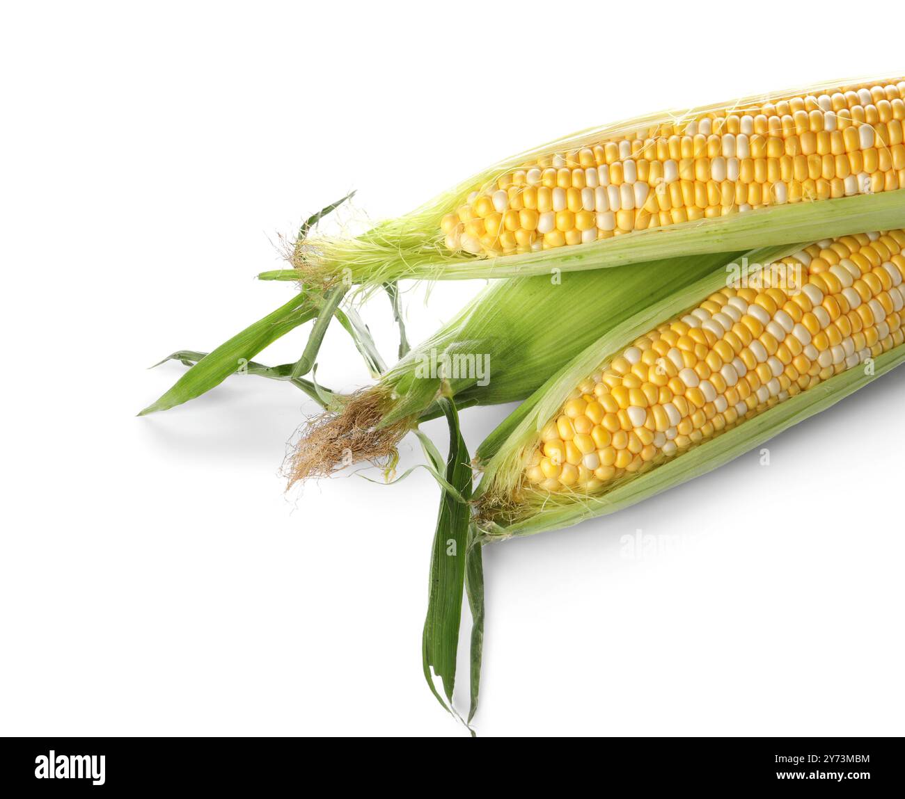 Fresh corn cobs on white background Stock Photo - Alamy