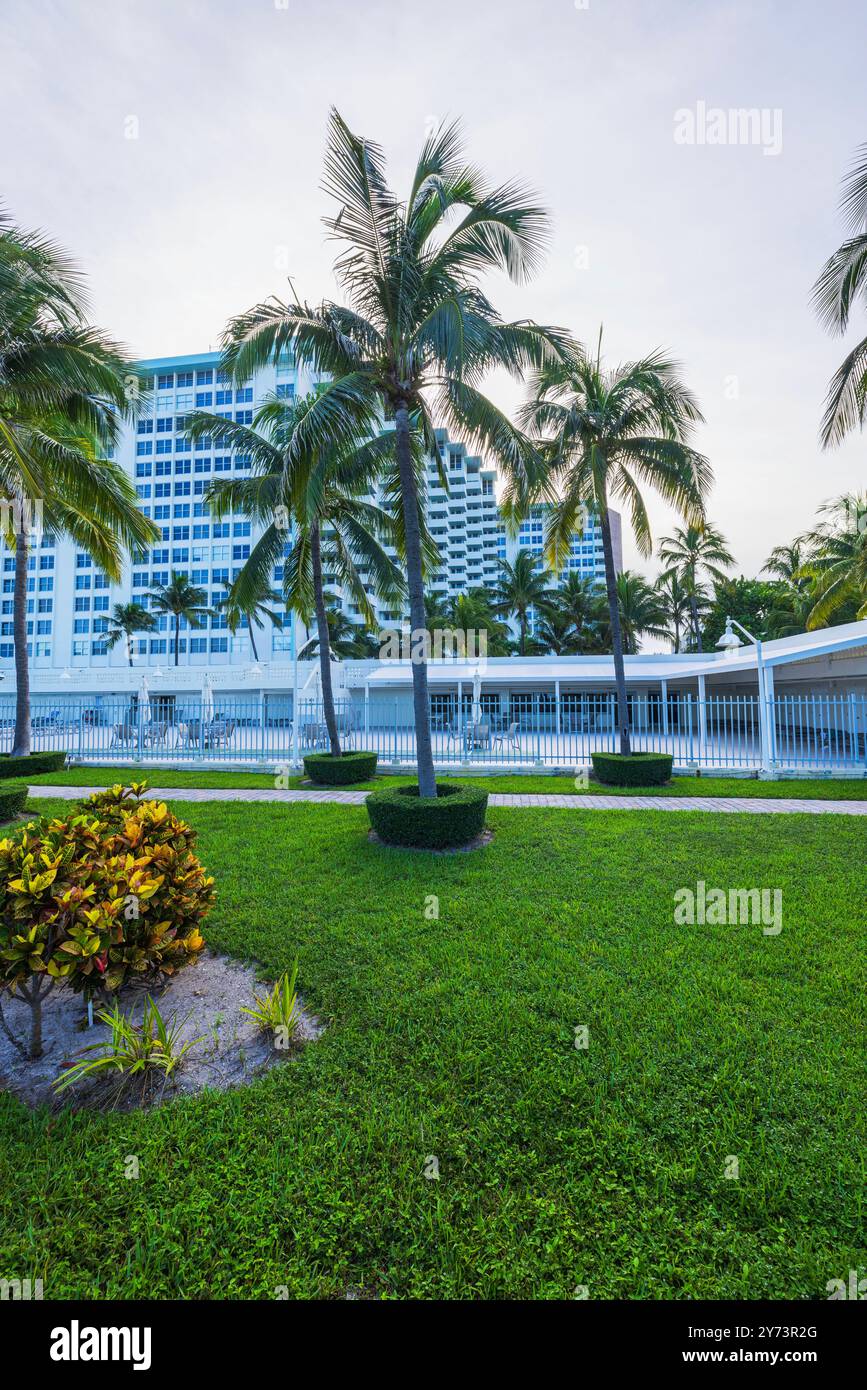 Lush green lawn palm trees hi-res stock photography and images - Alamy