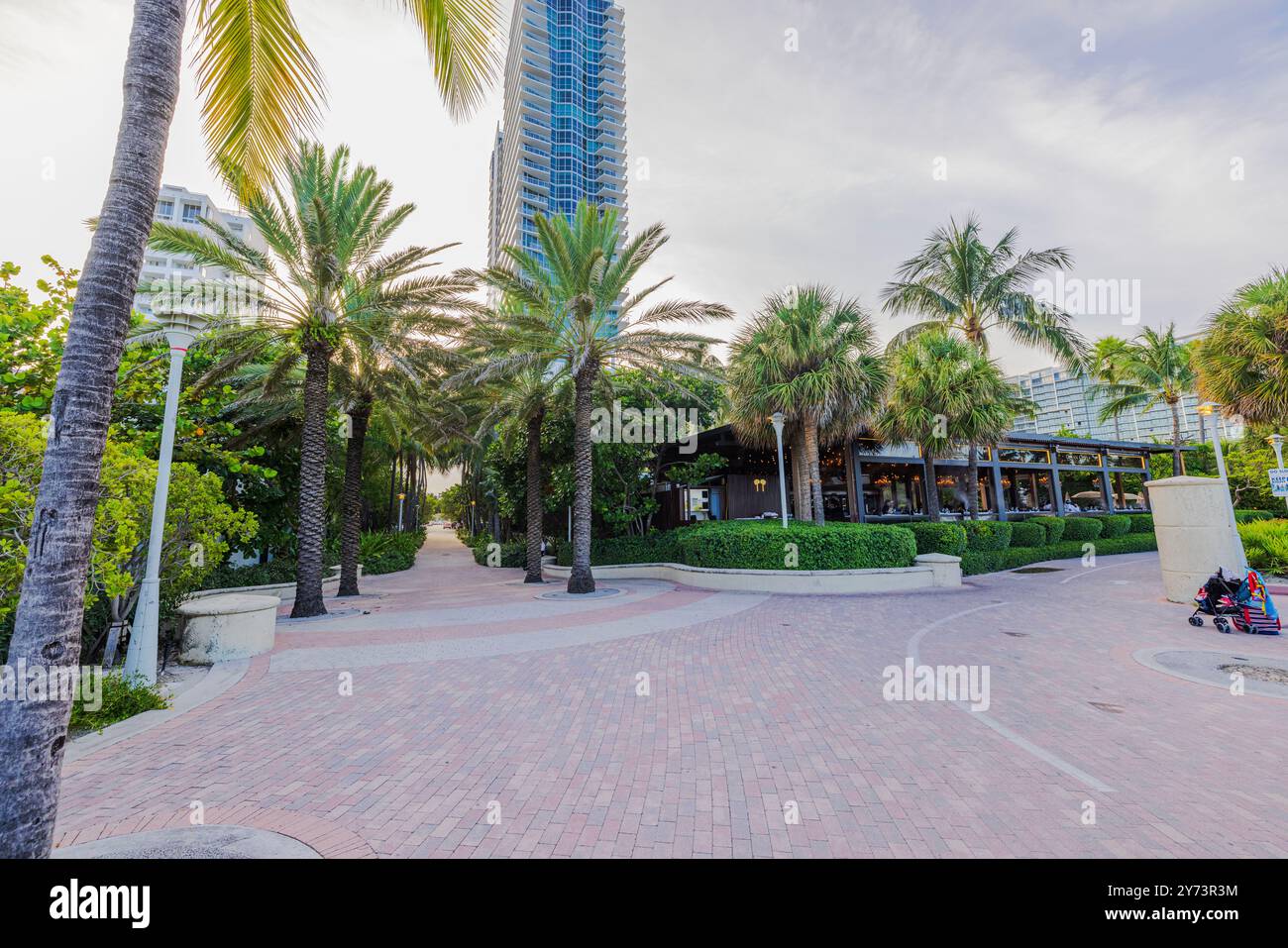 Scenic palm tree path and modern high-rise building on Ocean Drive in ...