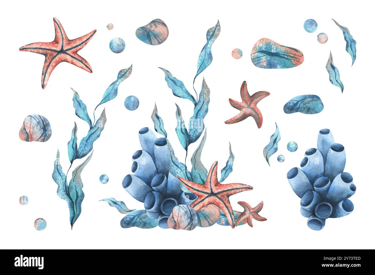 Underwater world clipart with sea animals starfish, pebbles, coral ...