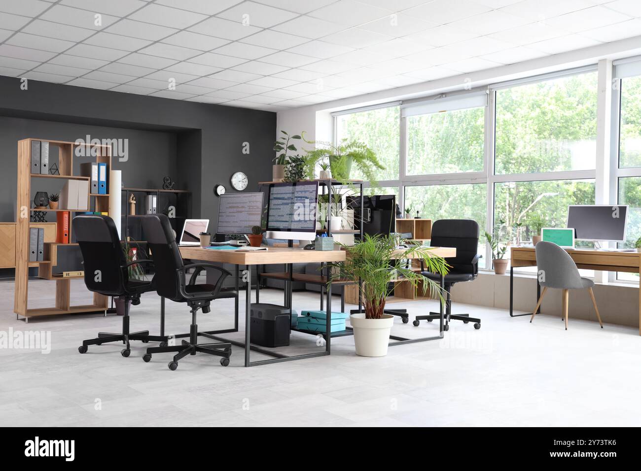 Interior of programmer's office with desks and plants Stock Photo - Alamy