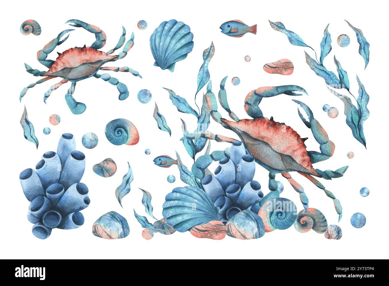 Underwater world clipart with sea animals crab, shells, coral and algae ...