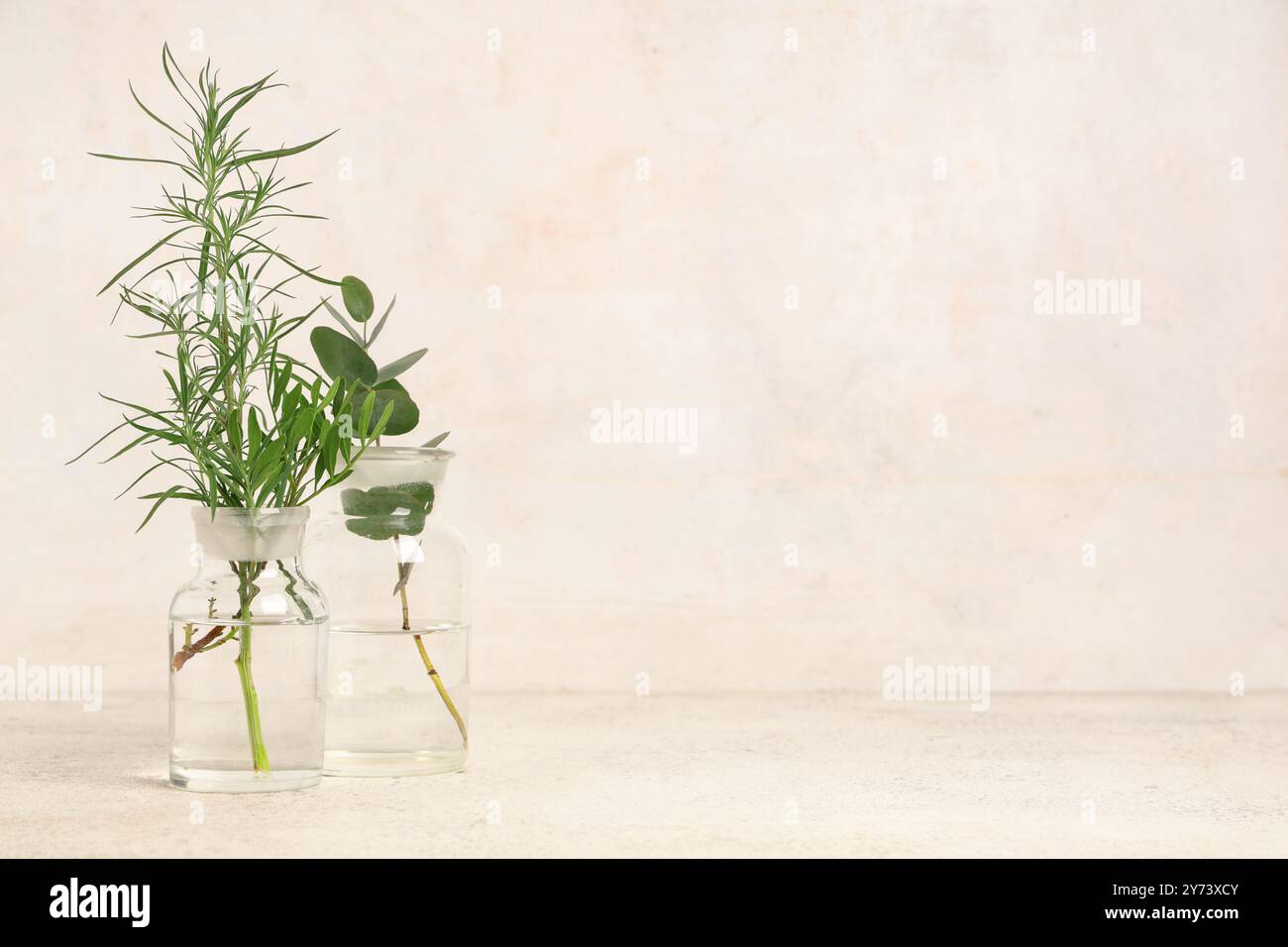 Laboratory glassware with herbs and plants on grunge white background ...
