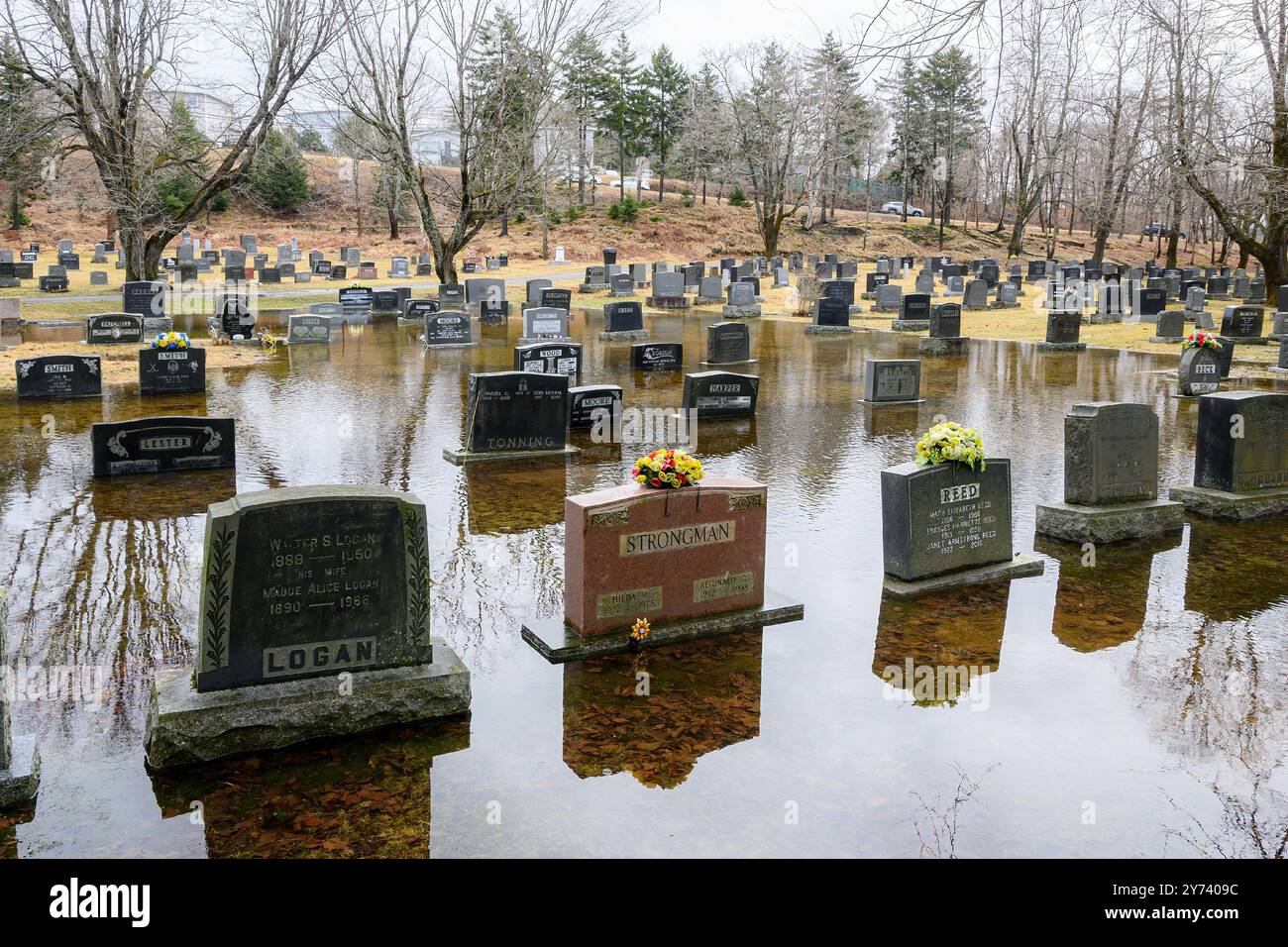 Saint John, NB, Canada - March 30, 2024: A flooded cemetery. Water ...