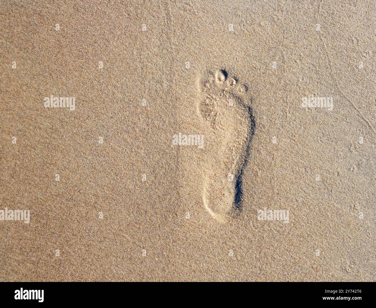 A human footprint in wet sand Stock Photo - Alamy