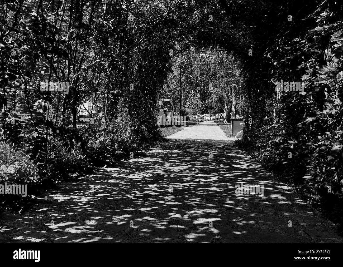 Natural Frame Passage Illuminated by Sunlight—Shadows on the Ground ...