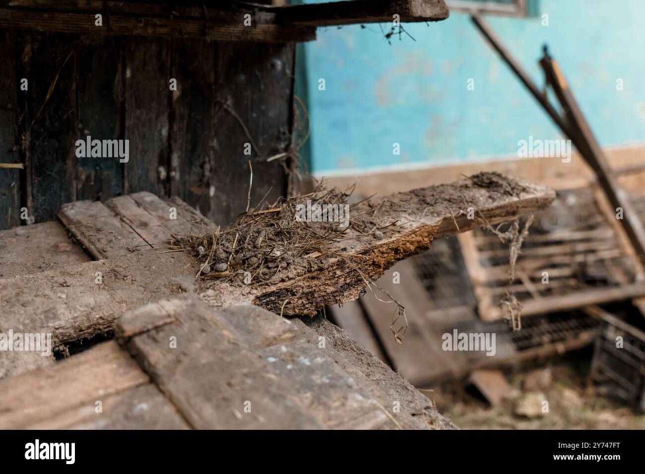 Abandoned Barn Interior with Rustic Wooden Planks and Dusty Surfaces ...