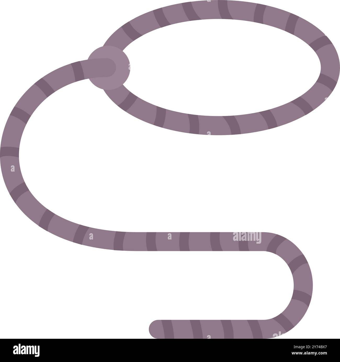 Lasso tool american cowboy hi-res stock photography and images - Alamy