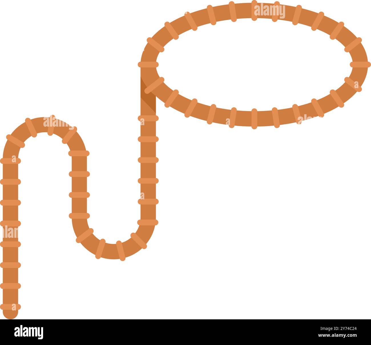 Cowboy lasso tool forming loop shape, traditional western symbol of ...