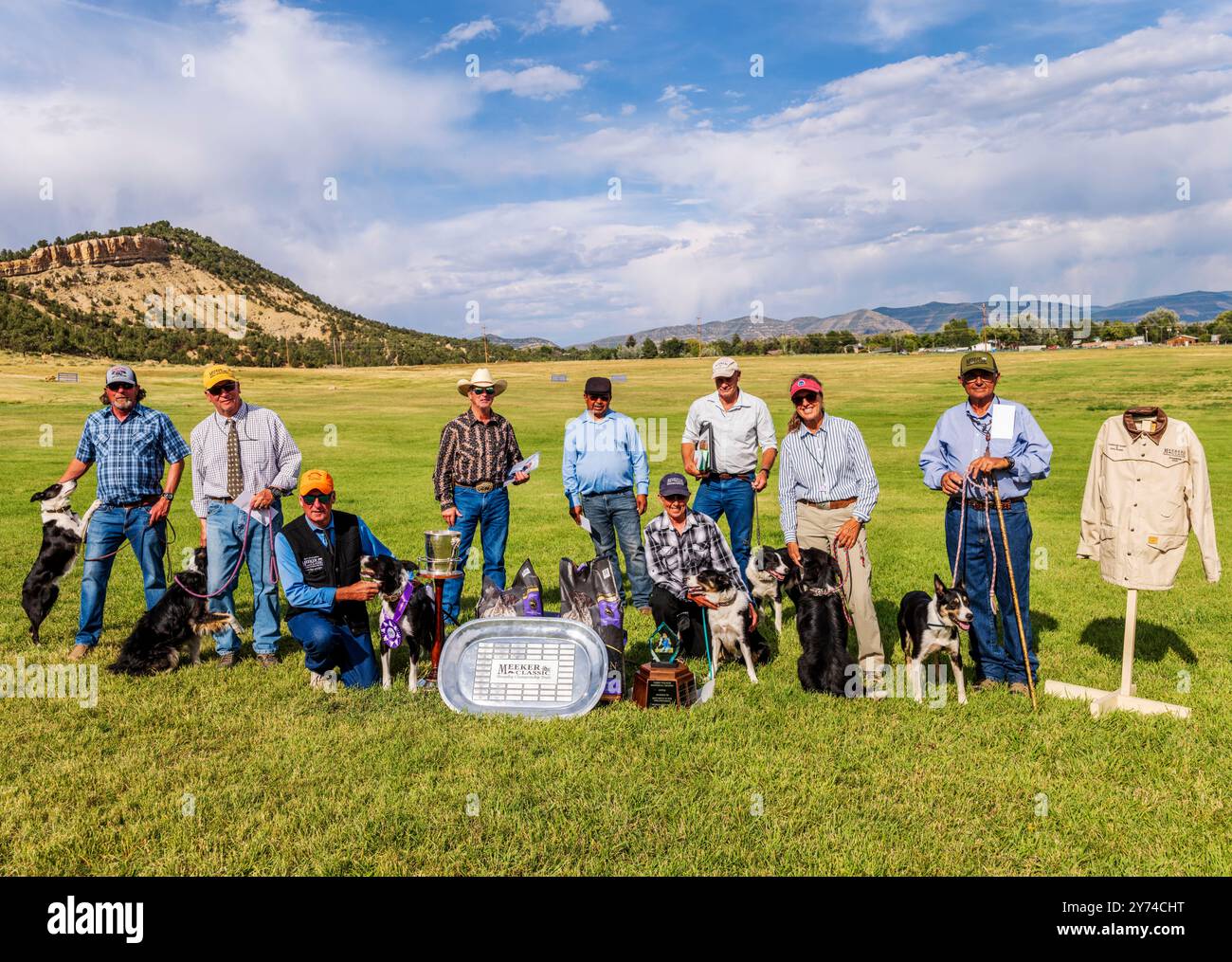 Sheepdog winners hi-res stock photography and images - Alamy