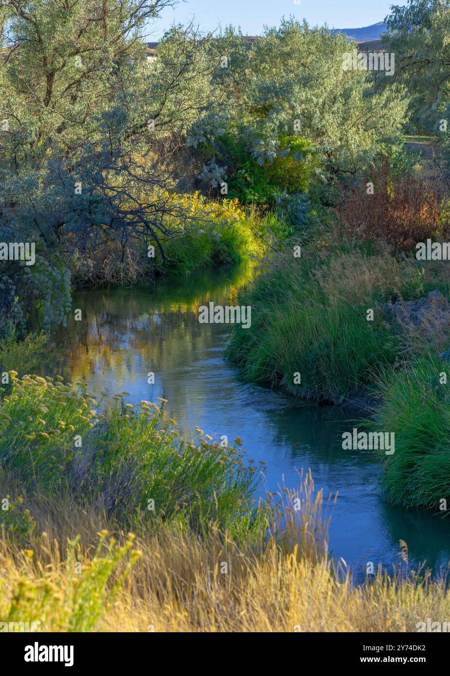 Autumn light & sun setting makes reflection on flowing stream of water ...