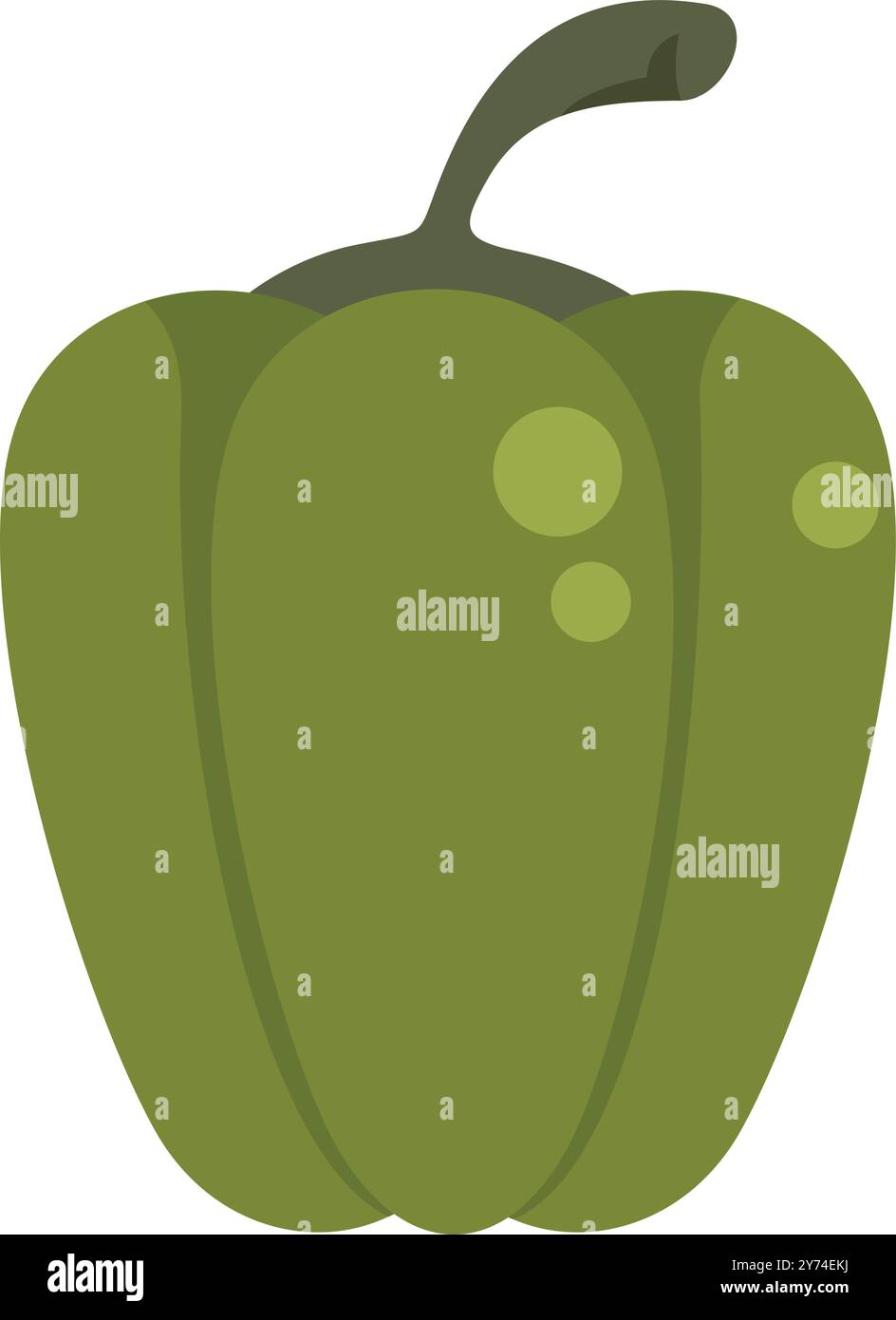 Green bell pepper standing up on a white background Stock Vector Image ...