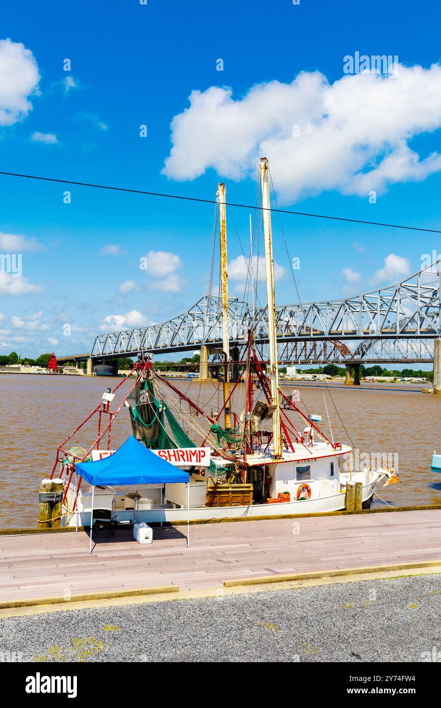 Shrimp boat on the Atchafalaya River, E. J. "Lionel" Grizzaffi Bridge ...