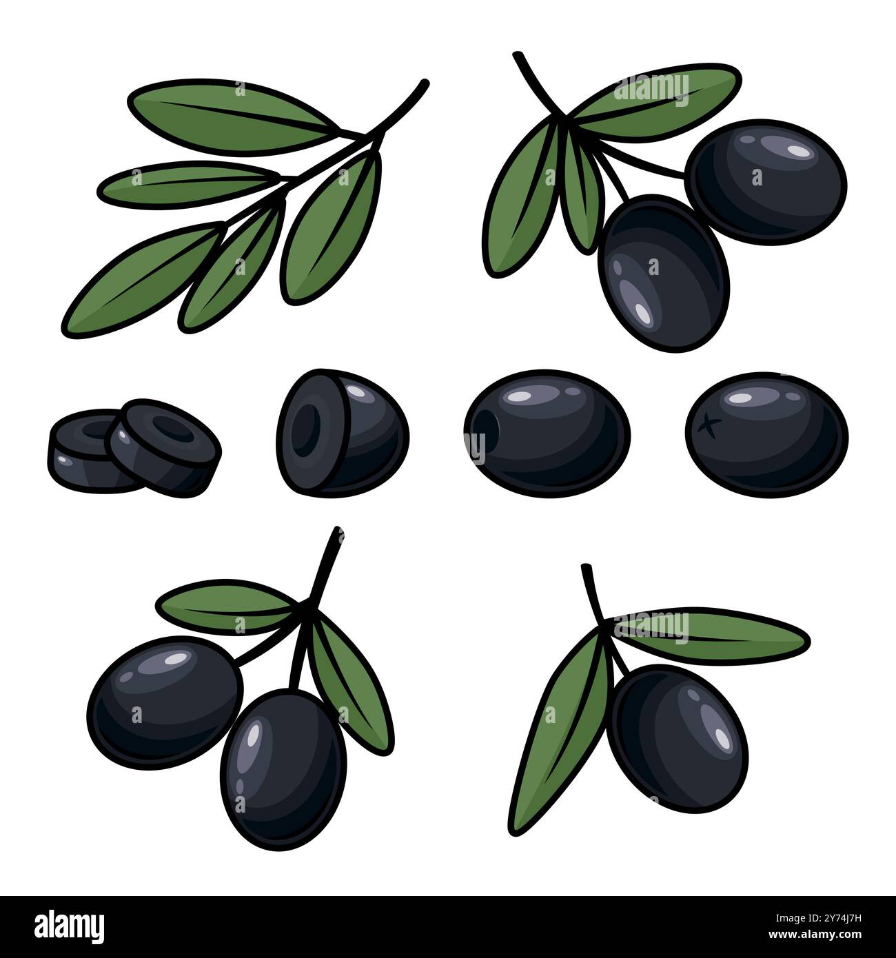 Flat Vector Black Olives and Branch Outline Set. Hand-Drawn Olive Tree Berries and Branch ...