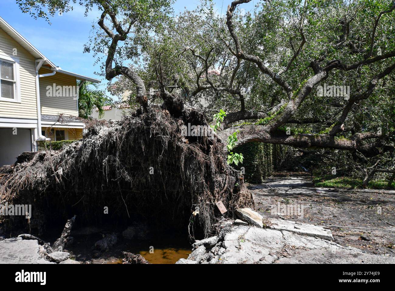Hurricane Helene caused destruction, damage and deaths on the Florida ...