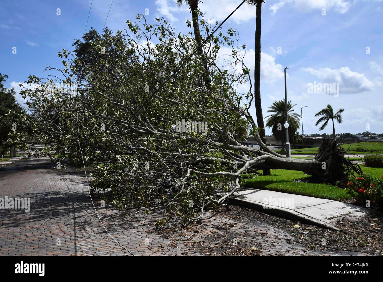 Hurricane Helene caused destruction, damage and deaths on the Florida ...