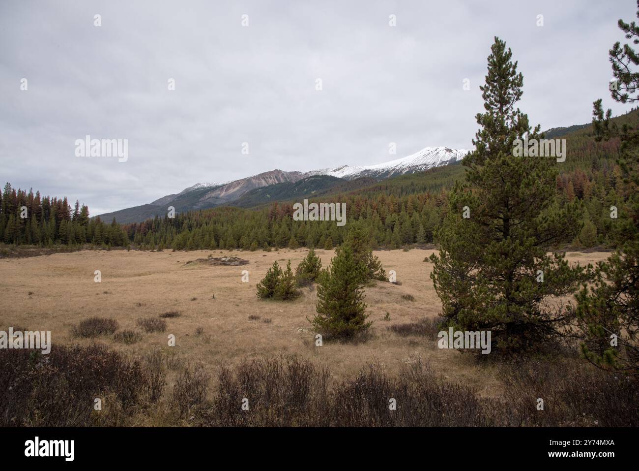 Mary Schaeffler Loop at Maligne Lake in the Canadian Rocky Mountains in ...