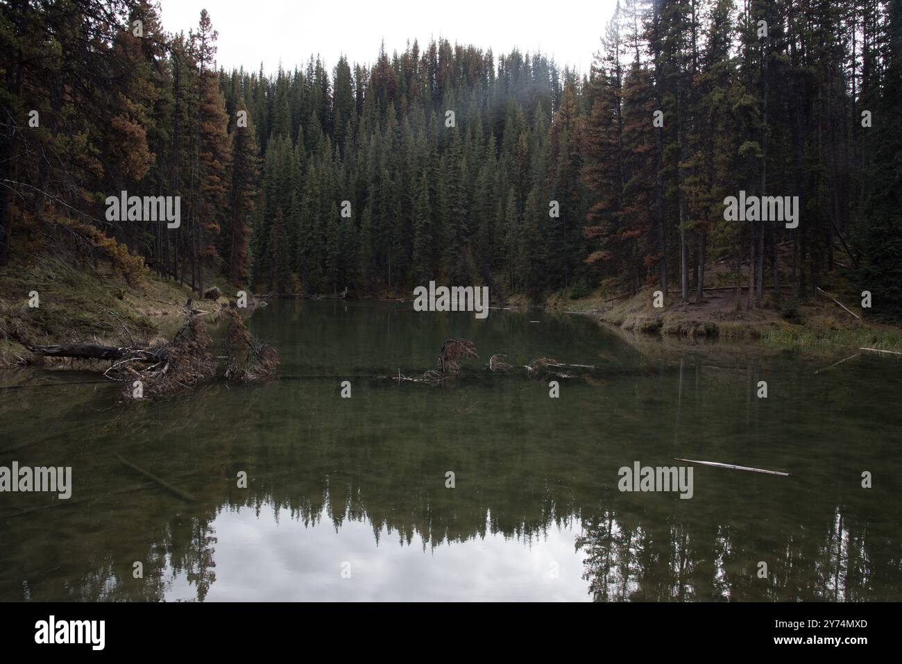 Moose Lake Trail at Moose Lake in the Canadian Rocky Mountains in ...