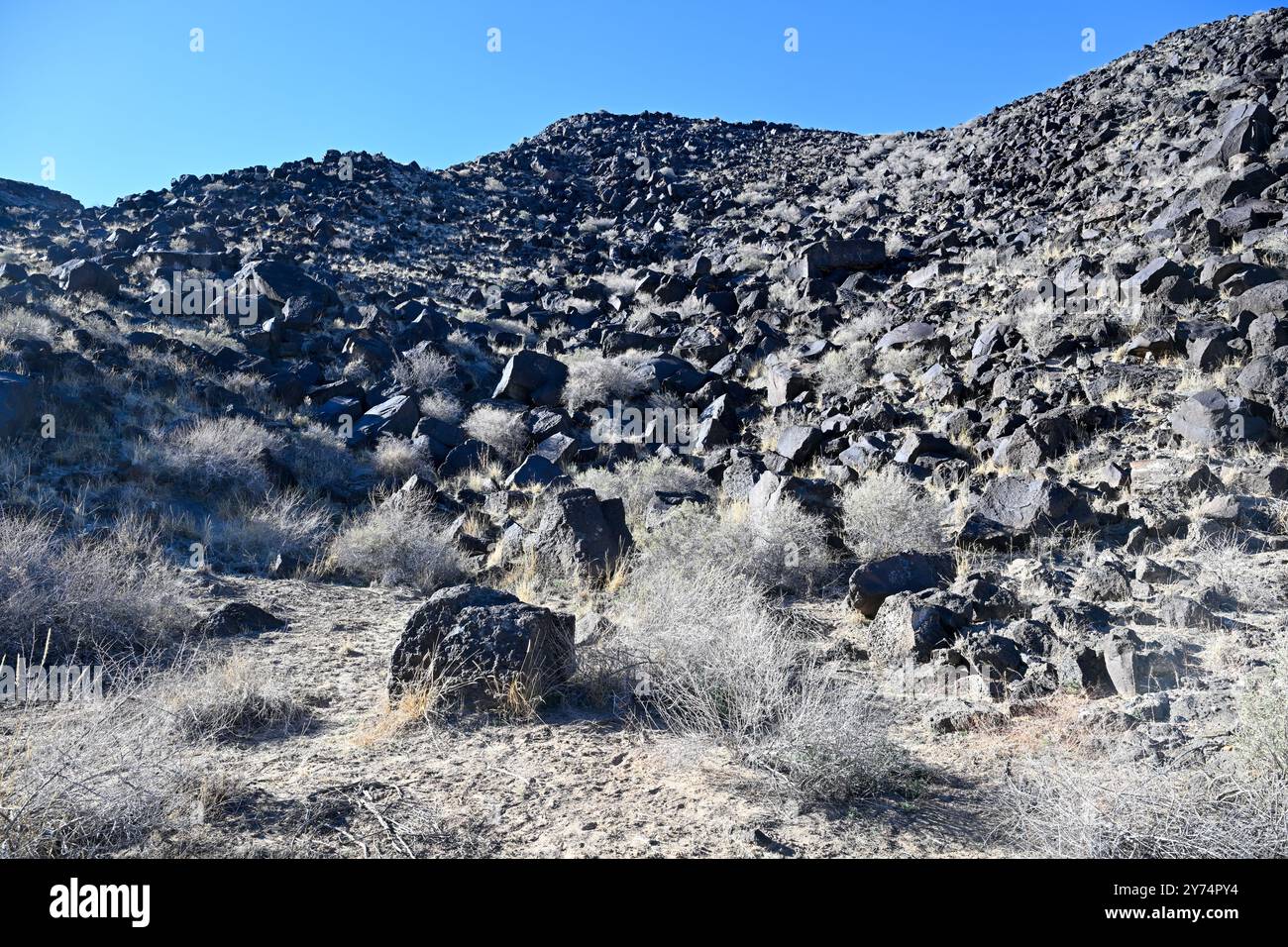 Petroglyph National Monument along West Mesa, a volcanic basalt ...