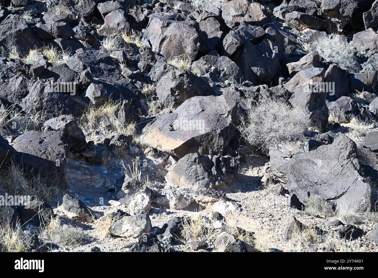 Petroglyph National Monument along West Mesa, a volcanic basalt ...
