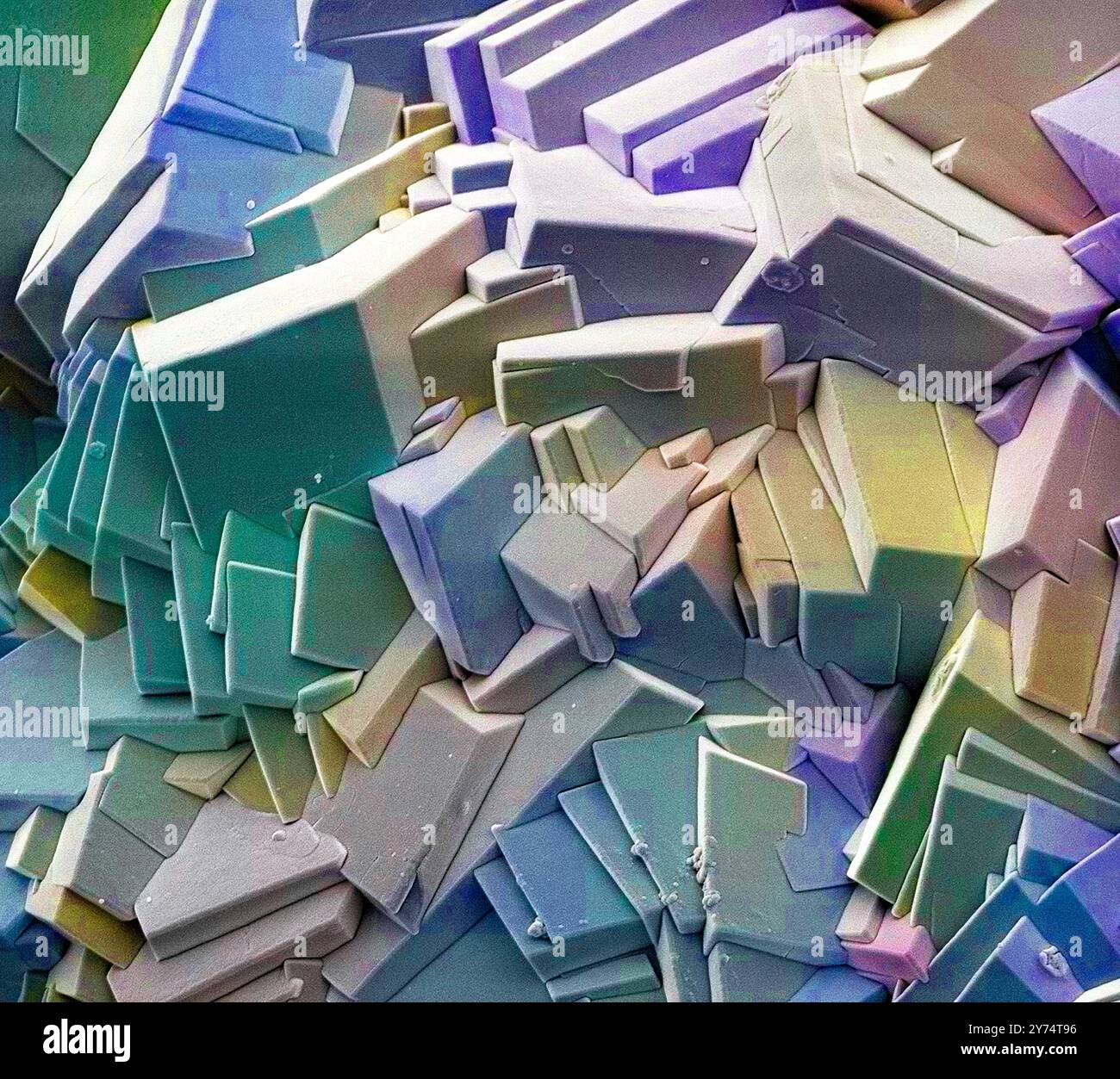 Sucrose crystals, coloured scanning electron micrograph (SEM). Sucrose ...