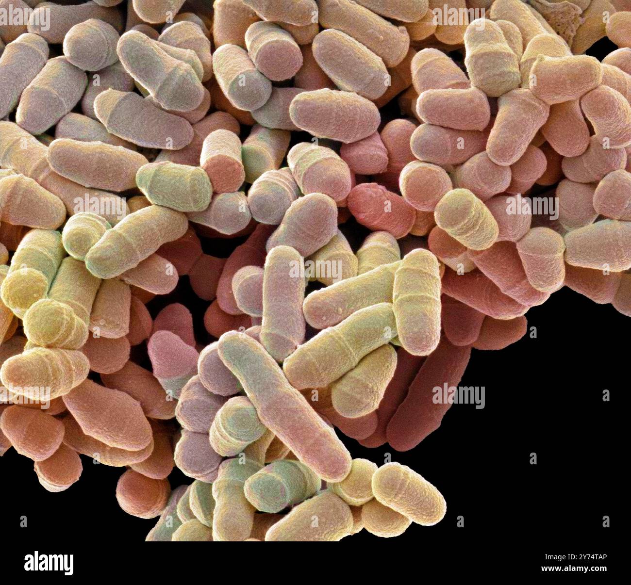 Pombé hi-res stock photography and images - Alamy