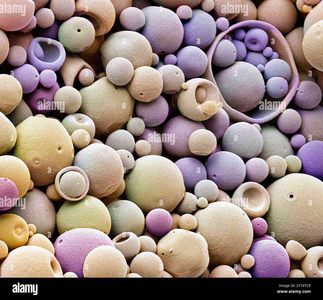 PLGA microspheres, SEM Stock Photo - Alamy
