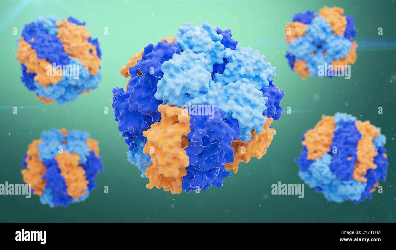 Illustration of the ribulose-1,5-bisphosphate carboxylase/oxygenase ...