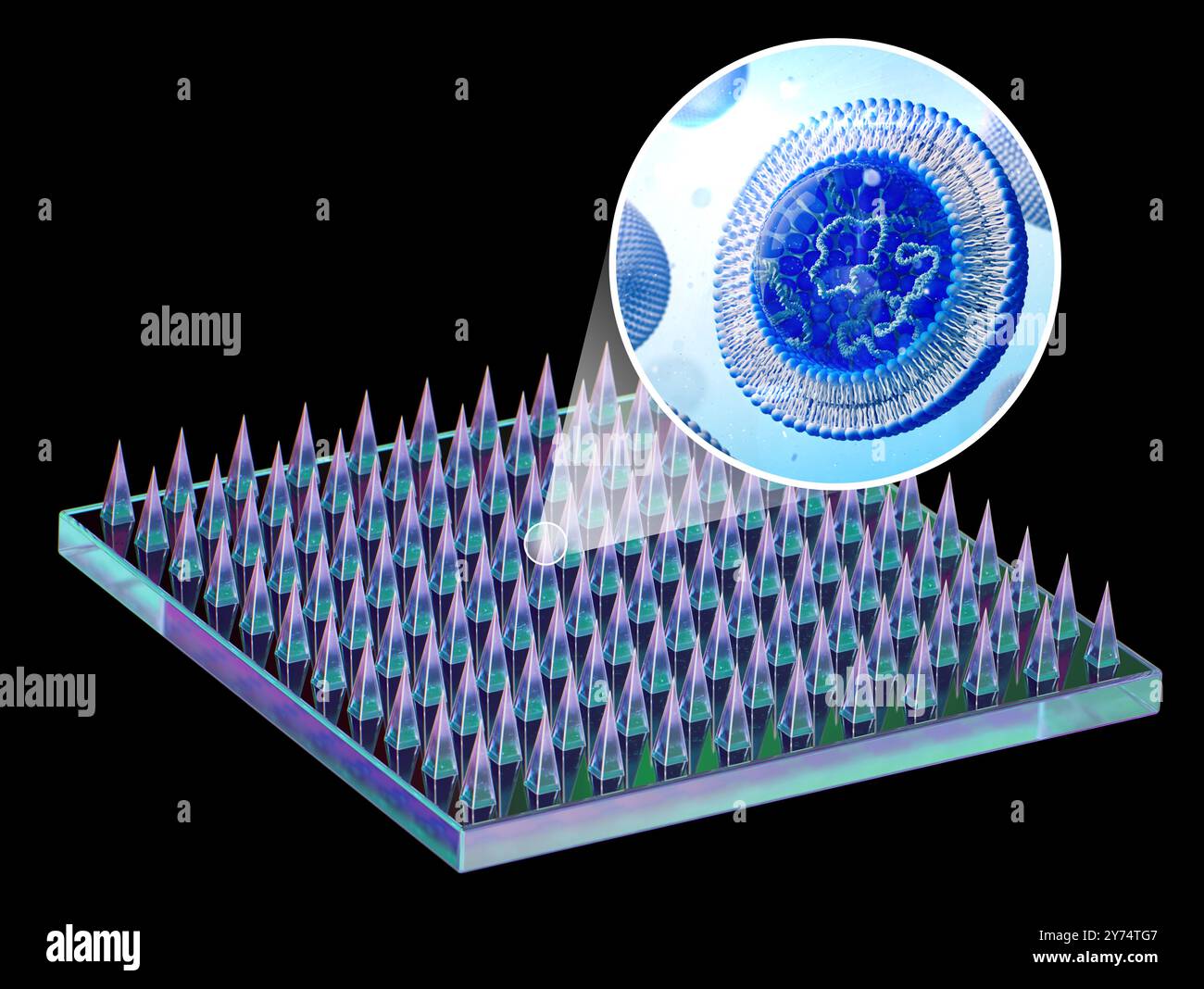 Illustration of a microneedle mRNA vaccine patch. Printed mRNA vaccine ...