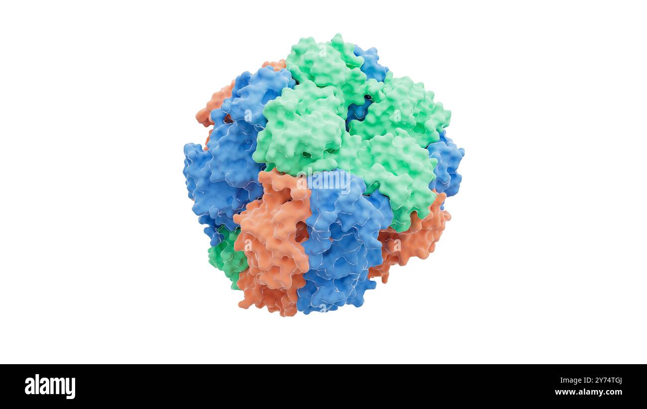 Rubisco protein structure hi-res stock photography and images - Alamy