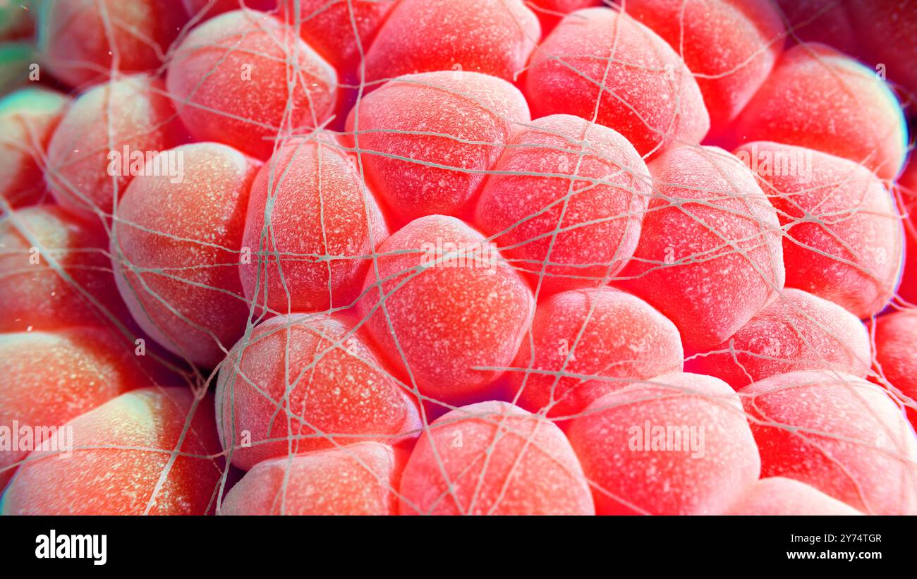 Illustration of fat cells Stock Photo - Alamy