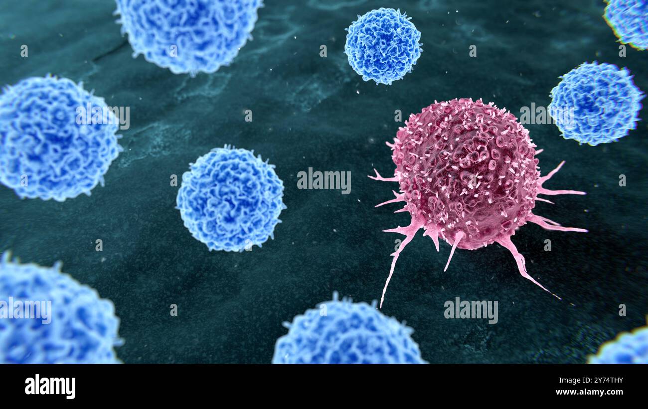 Illustration depicting tumour infiltrating lymphocyte (TIL) therapy for ...