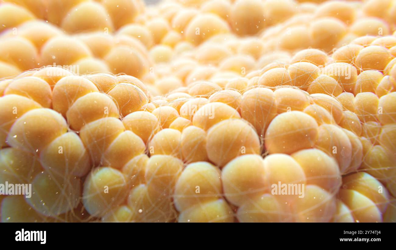 Illustration of fat cells Stock Photo - Alamy