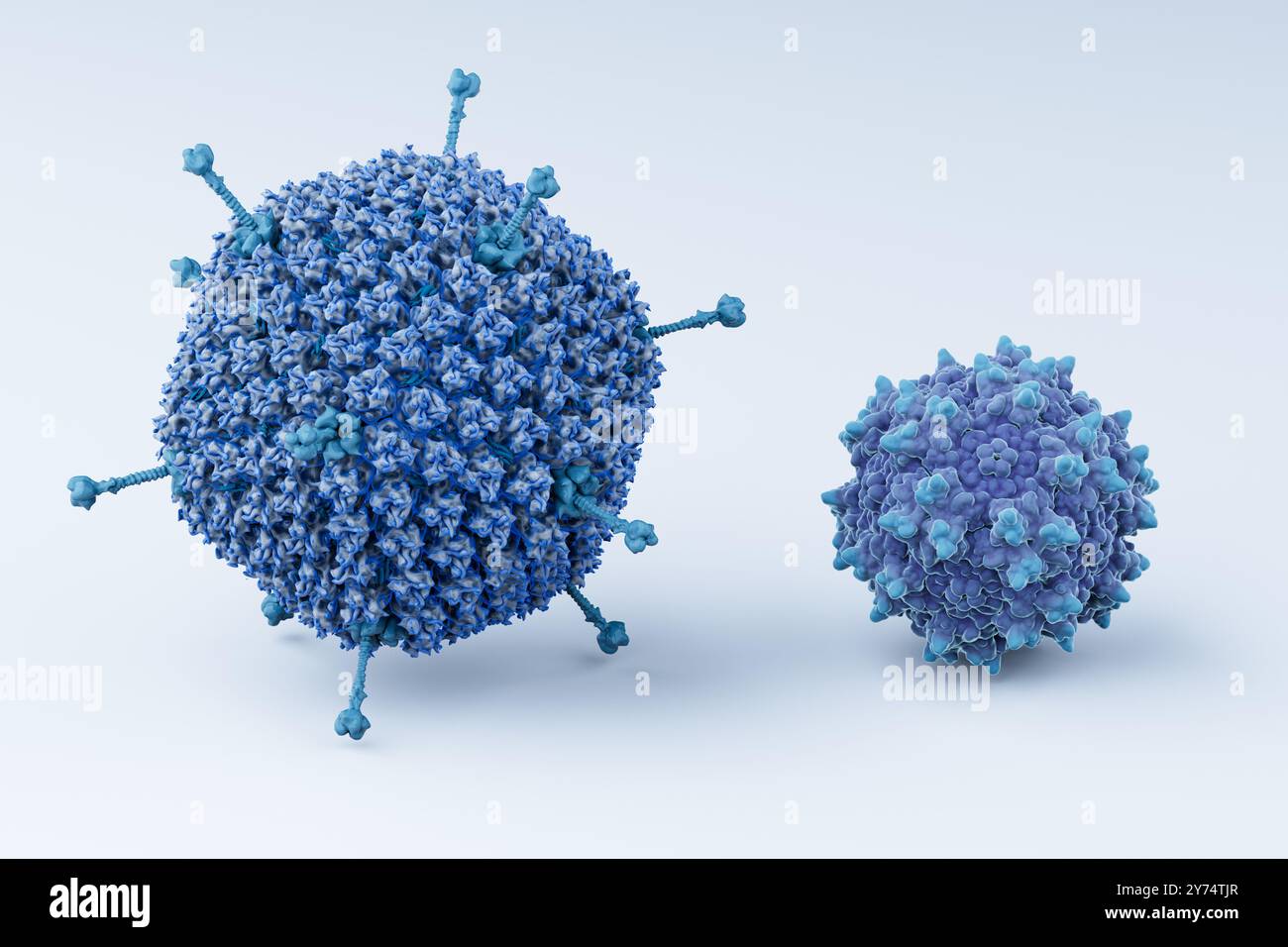 Illustration of the adenovirus with the adeno-associated virus (AAV ...