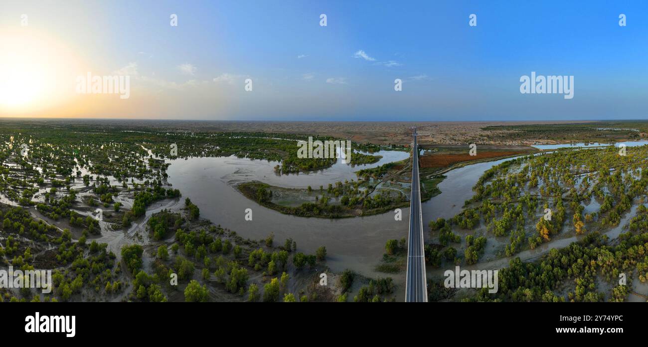BOZHOU, CHINA - SEPTEMBER 23, 2024 - The Populus euphratica forest ...