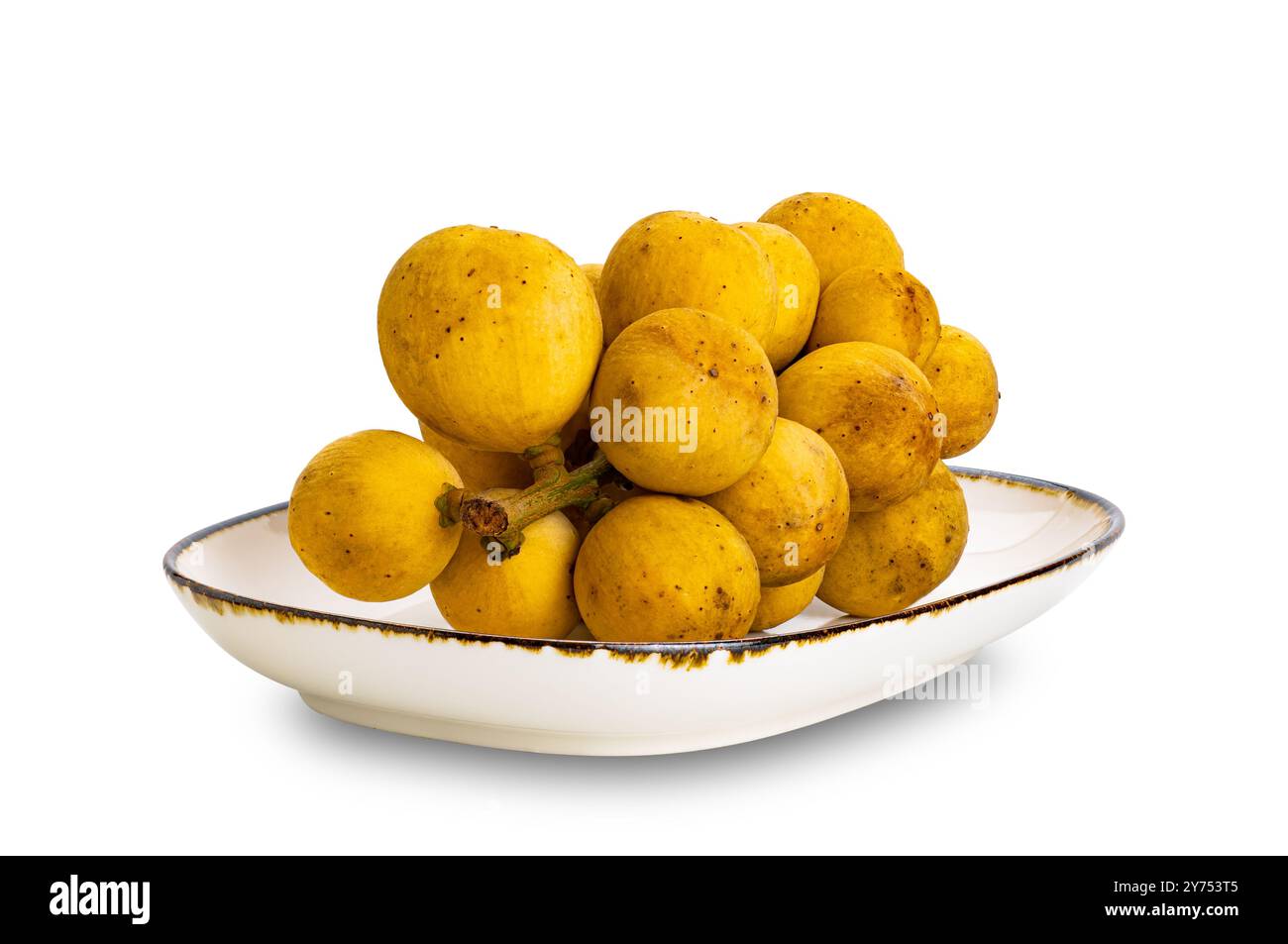 Bunch of Long Kong, Longkong, Langsart in brown ceramic tray isolated ...