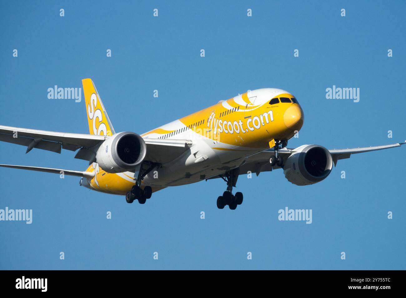 Landing Plane Boeing 787-8 Dreamliner operated Scoot Airline Aircraft ...