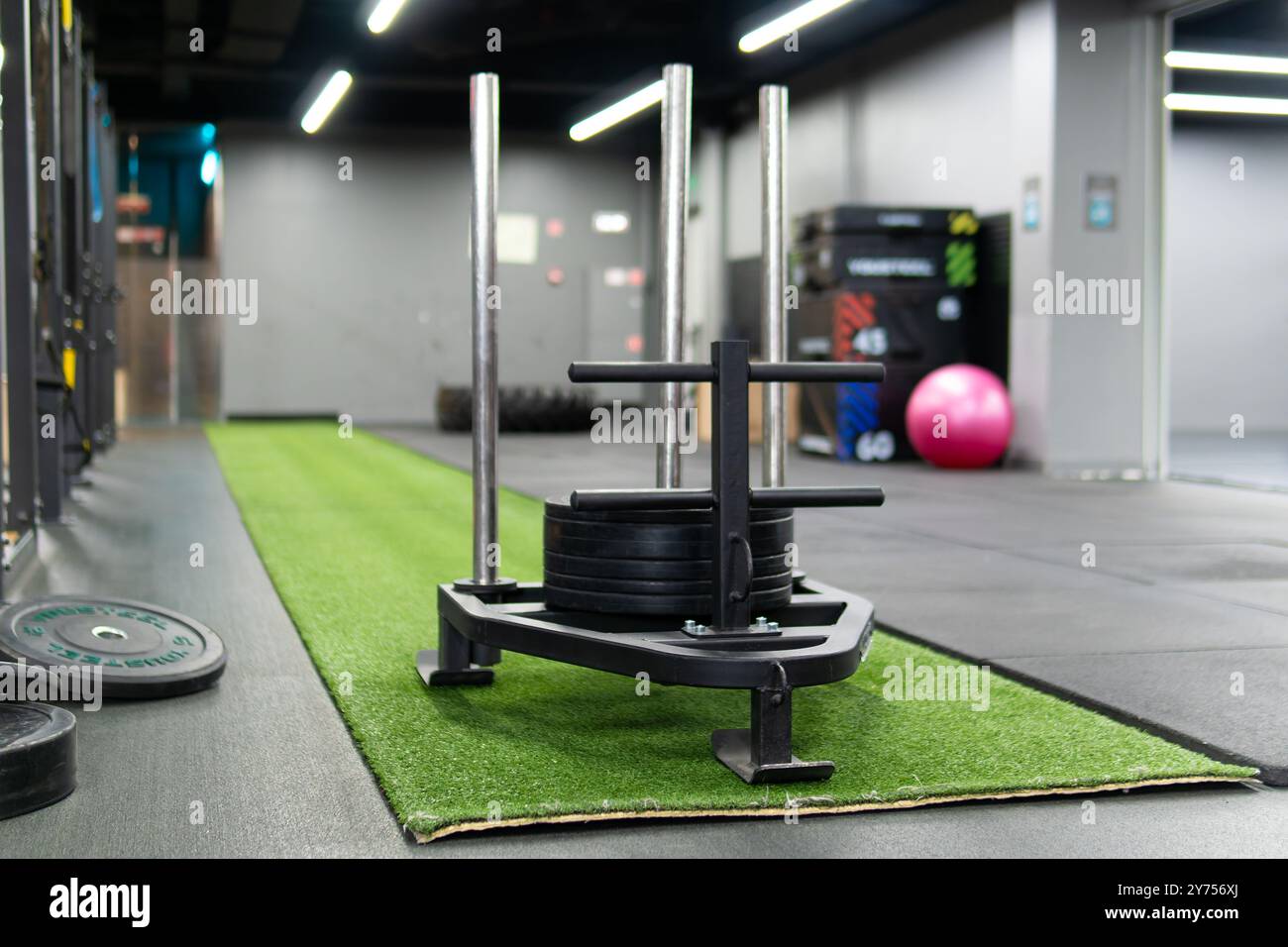 effort gym holding strength athlete fitness weight lifestyle healthy ...