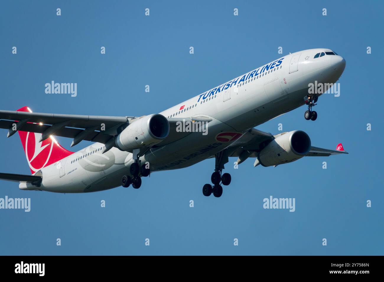 Airbus A330 Turkish Airlines, Plane Aircraft Airplane Jetliner ...