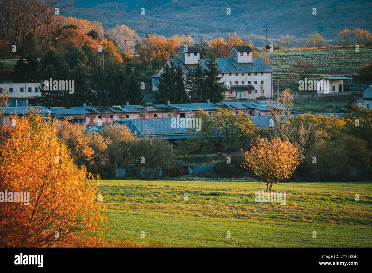 Agricultural rural landscape in autumn morning light Stock Photo - Alamy