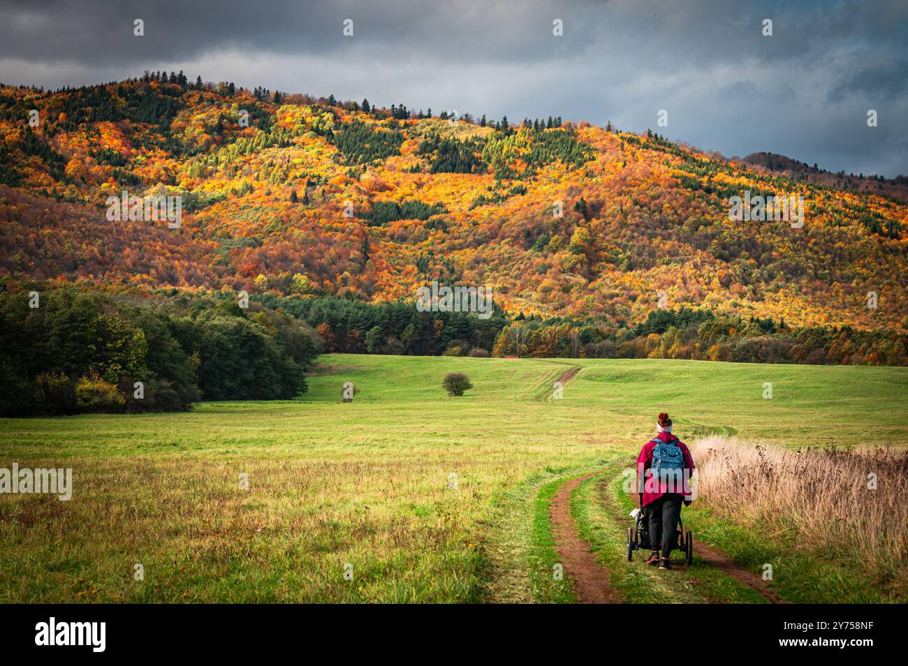 A young mother gently rocks her child to sleep in a pram amidst vibrant ...