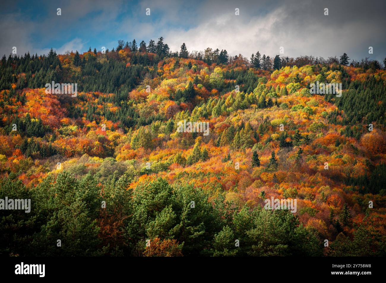 Breathtaking fall colors embrace tranquil hi-res stock photography and ...