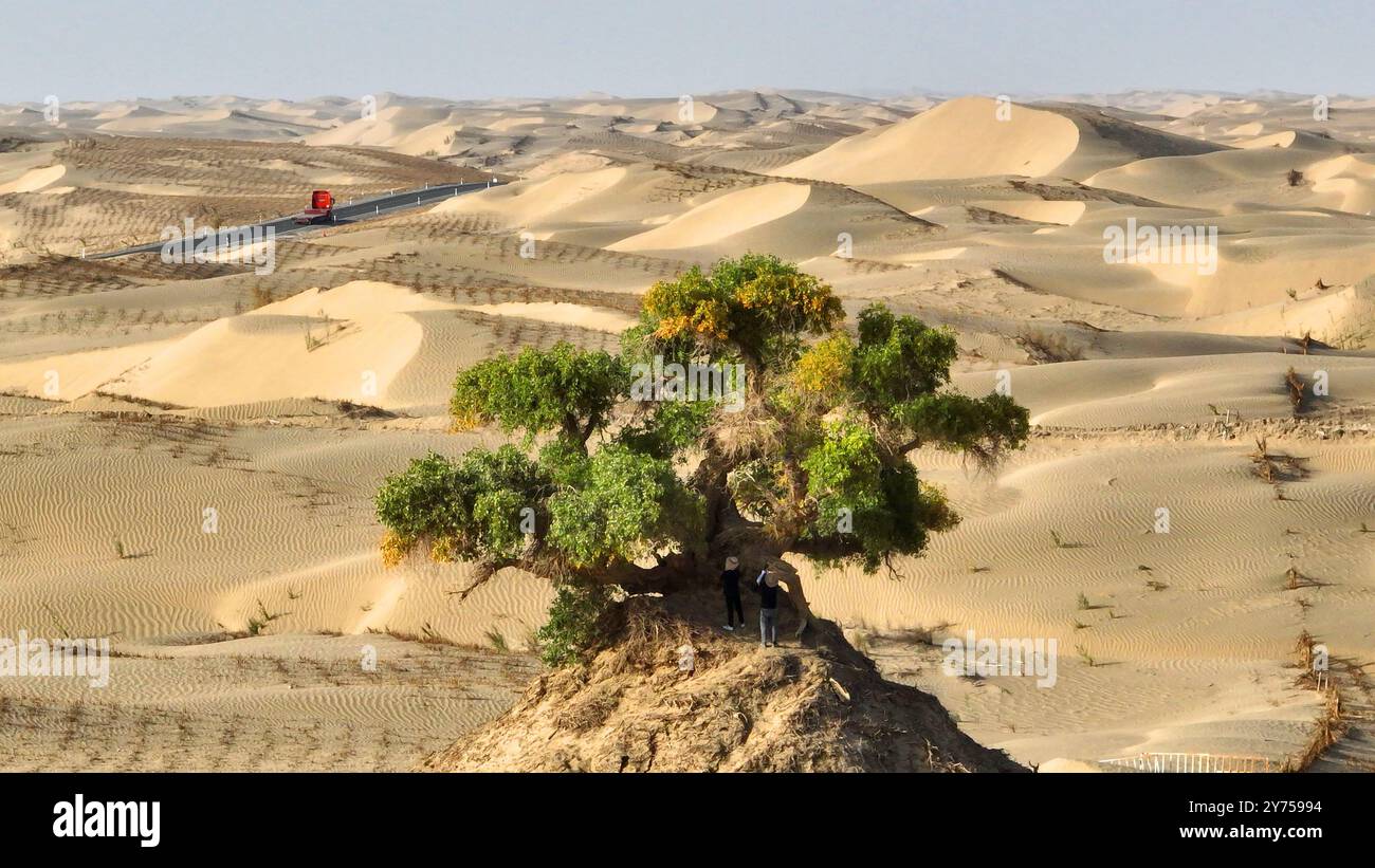 In Bazhou, Xinjiang, China, on September 23, 2024, Desert Highway ''One ...