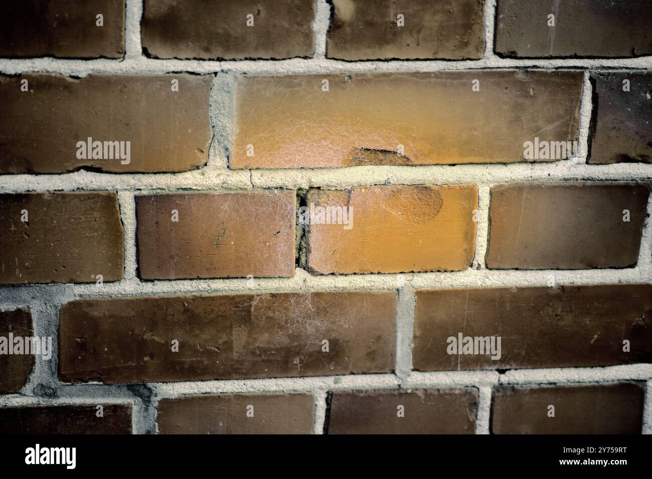 Wall, concrete and facebrick in architecture or city for building ...