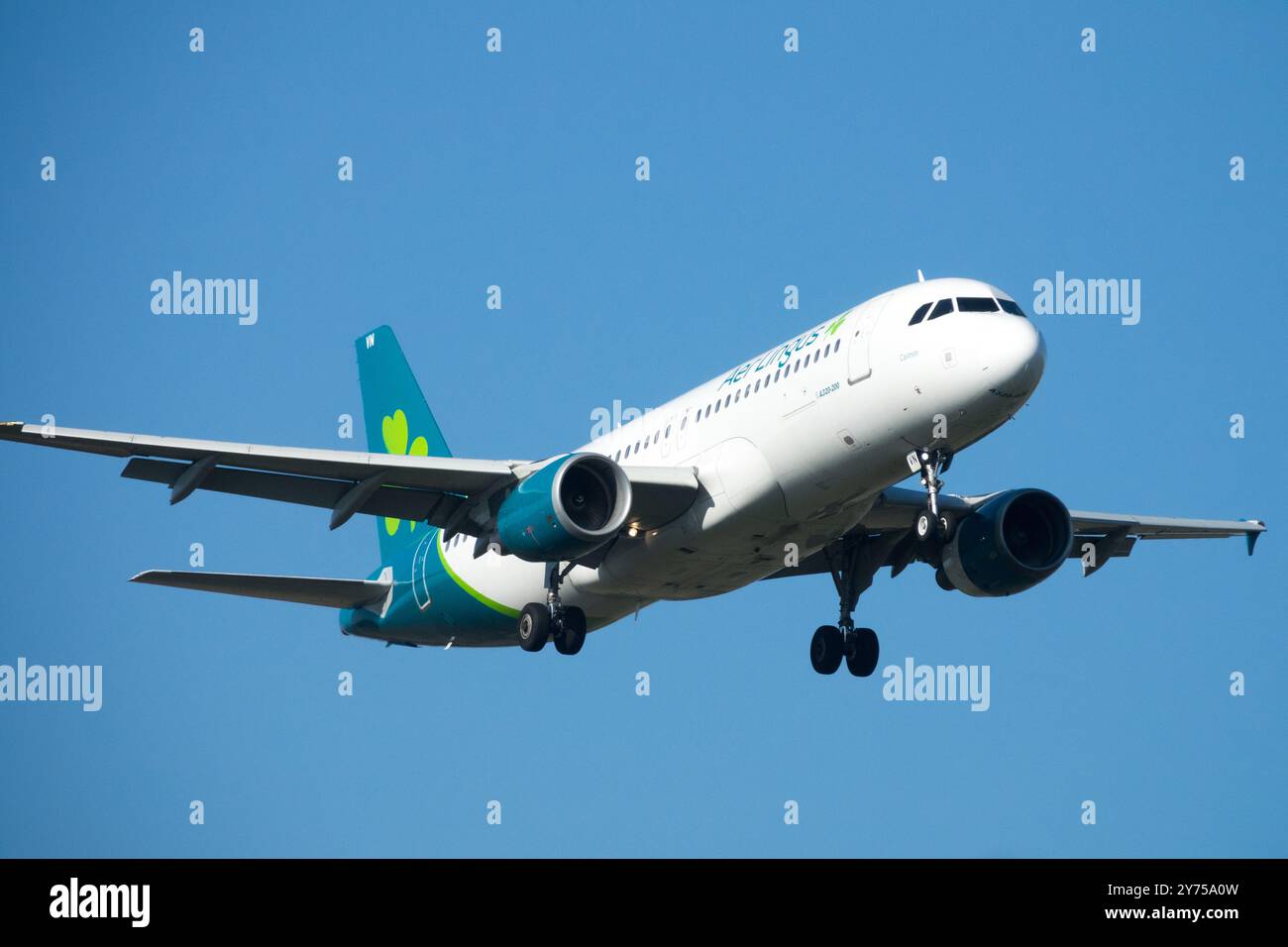 Airbus A320 Plane Aer Lingus Airways Airline Airlines Operated ...
