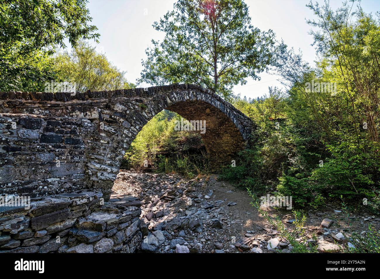 Ancient stone arch bridge surrounded by lush greenery in Epirus, Greece ...