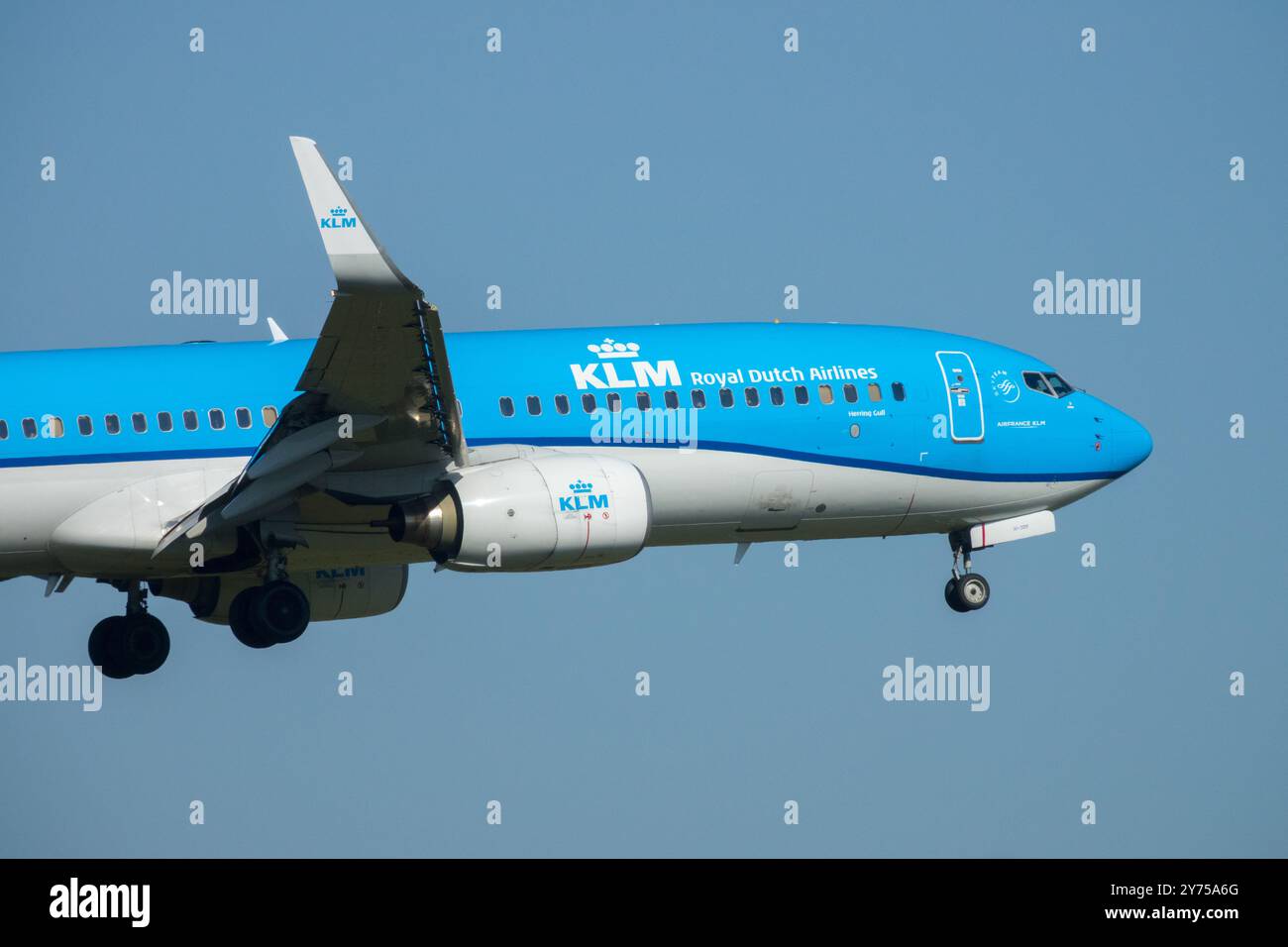 Boeing 737 Aircraft KLM Royal Dutch Airlines Plane Aircraft Airplane ...