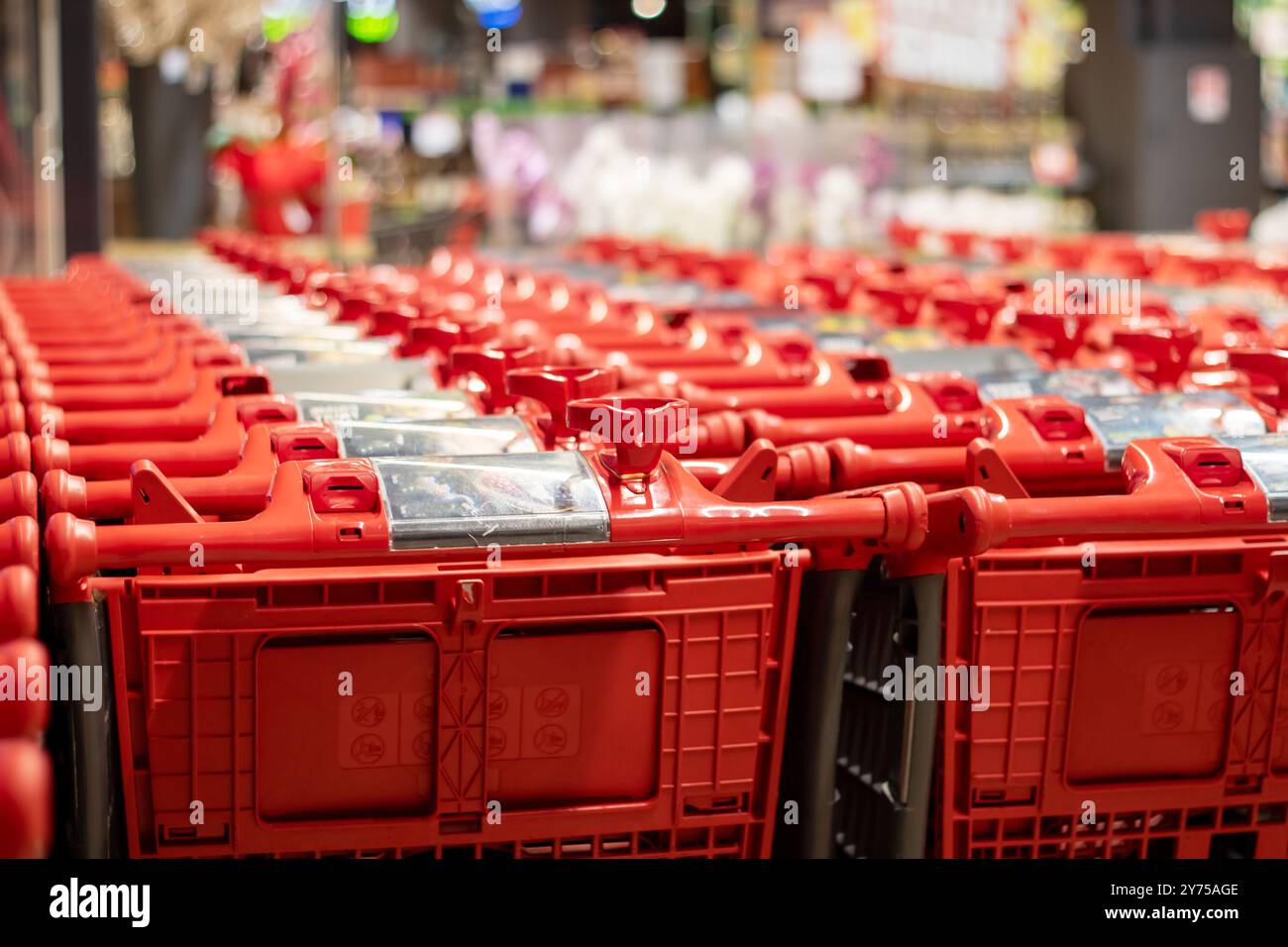 A vibrant row of red shopping carts can be seen in the bustling aisles ...