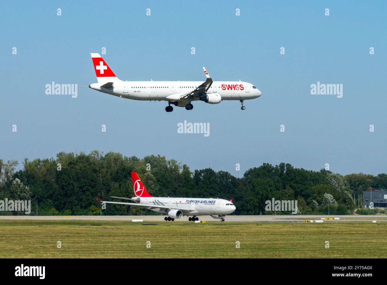 Swiss Airline Airbus A321 Plane Landing Aircraft Turkish Airlines ...